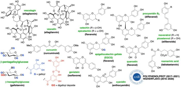 Polyphenol Chemistry & Chemical Biology Research I SQuideau Lab